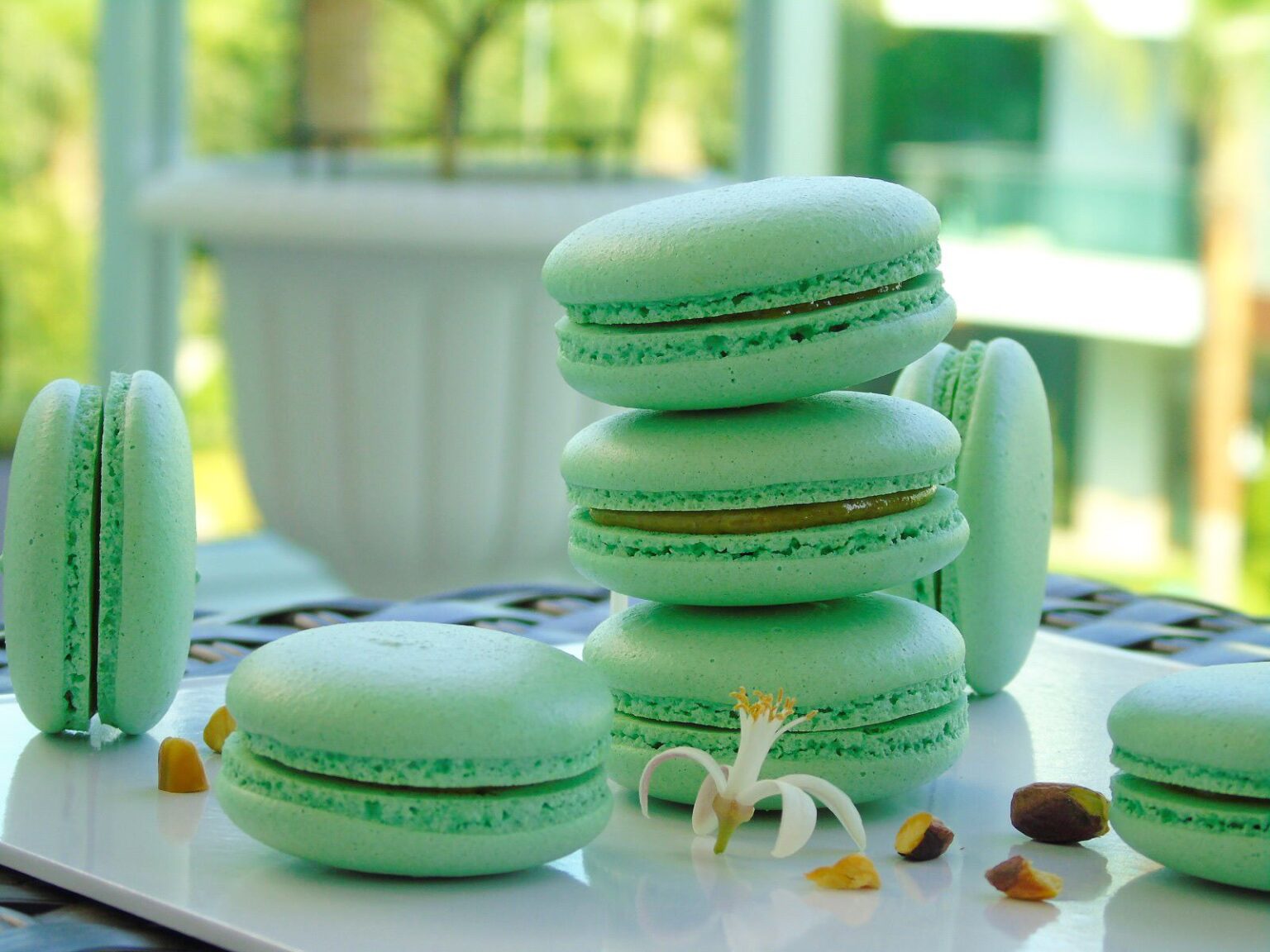 Piccolo Cakery – We Bake Memories!